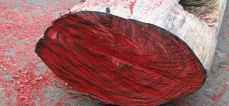 9 Health Benefits Of Rosewood Essential Oil – Joybynature.com